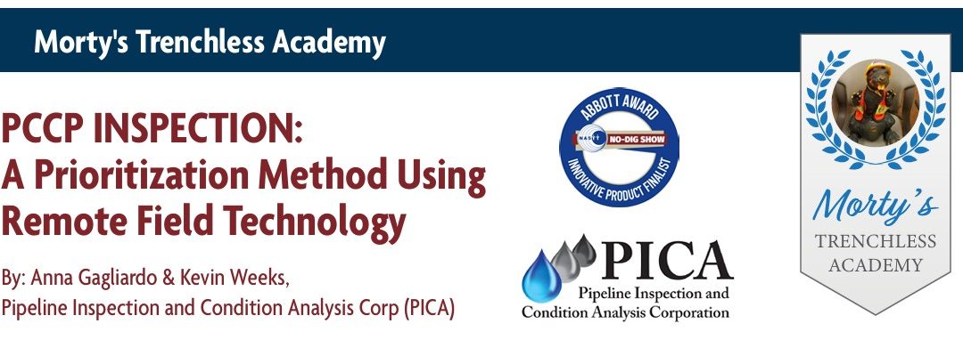 Screenshot 2025-03-23 184808 - PICA Corp | Pipeline Inspection And ...